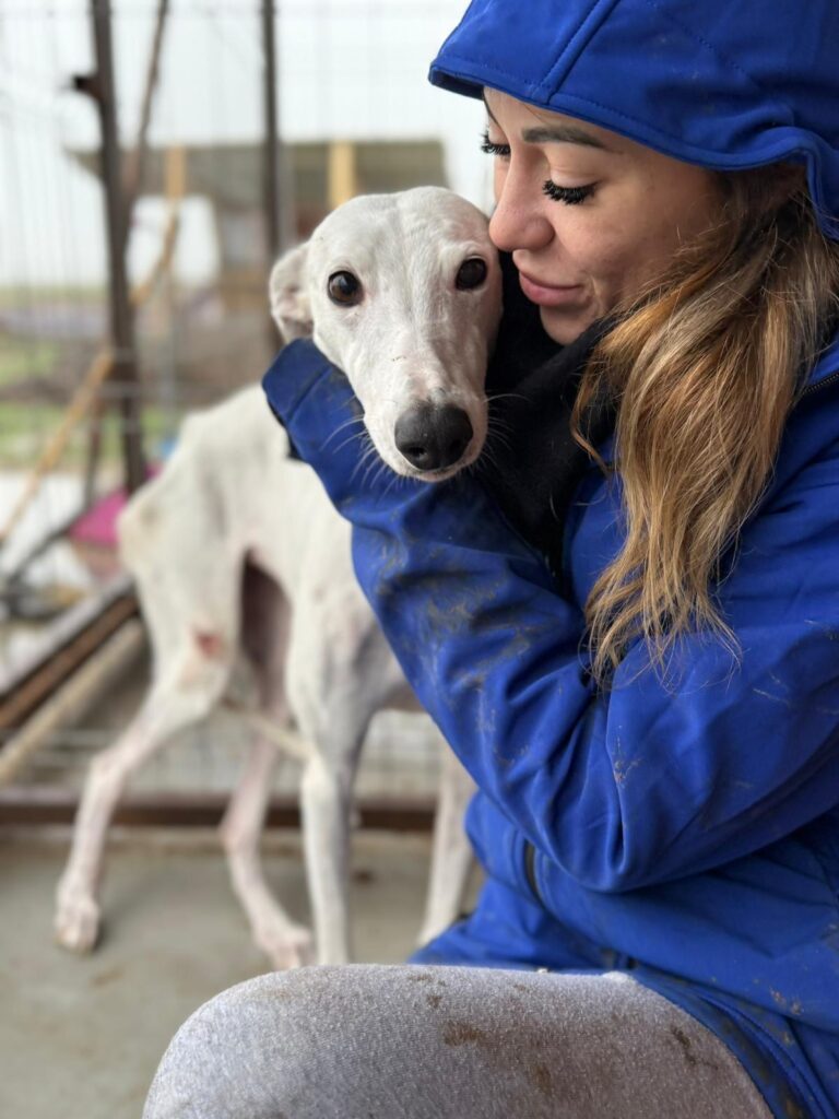 Luna – ARI PAWS – DOGS IN NEED